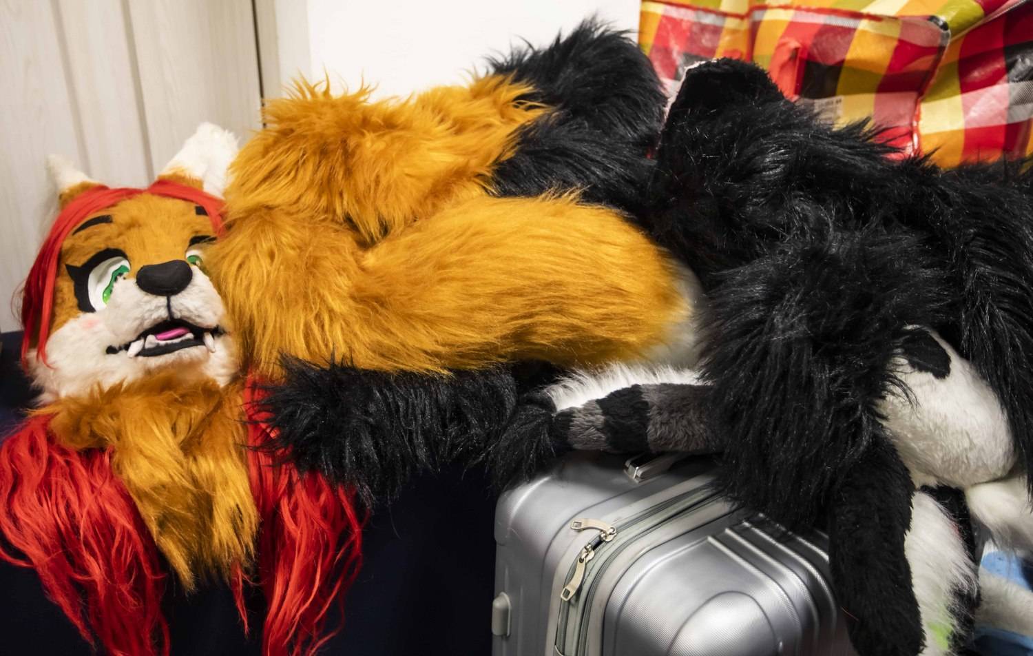 Mundo furry: sem medo e sem delírio - R7 Estúdio - R7 R7 Estúdio