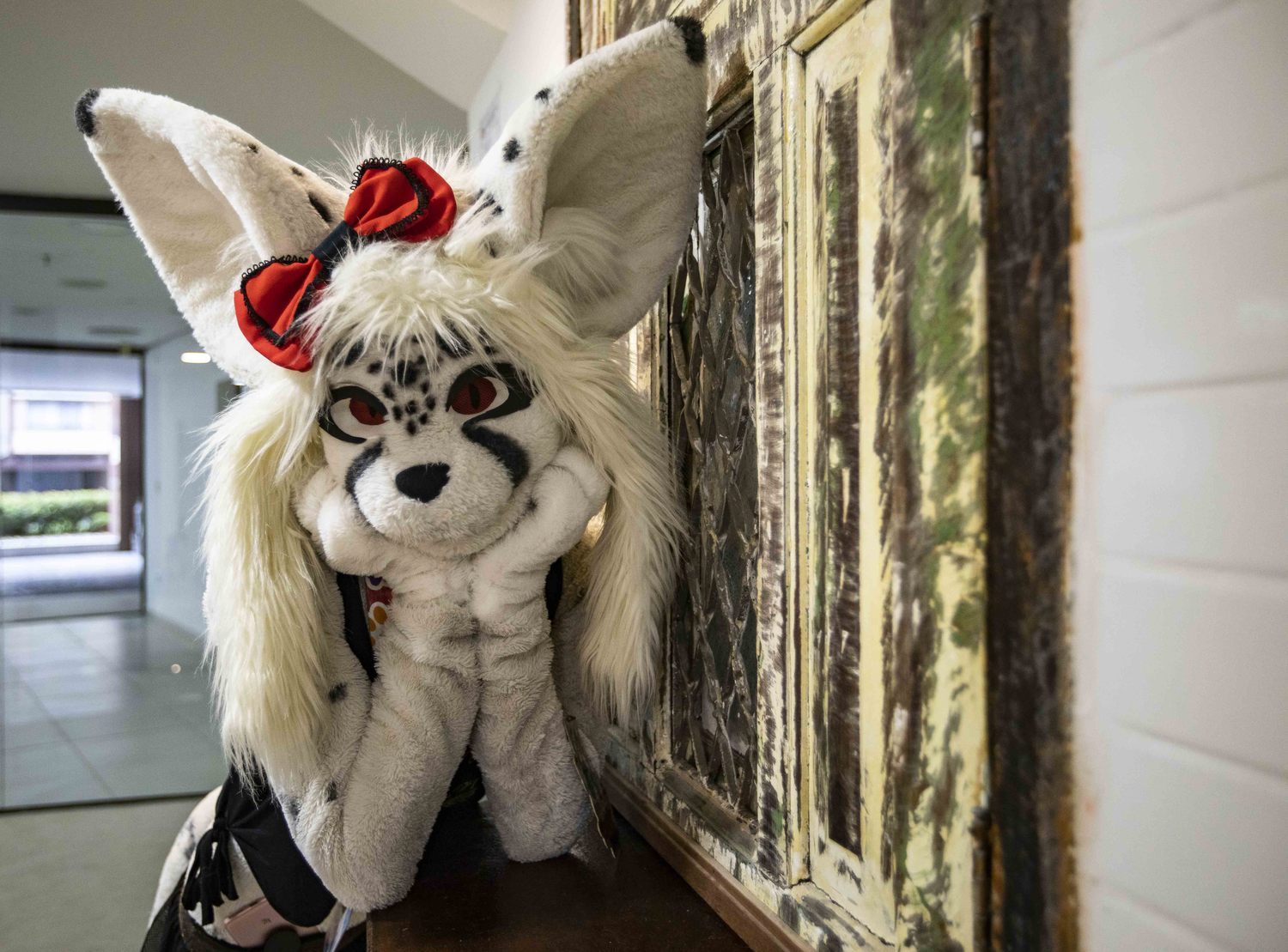 Mundo furry: sem medo e sem delírio - R7 Estúdio - R7 R7 Estúdio