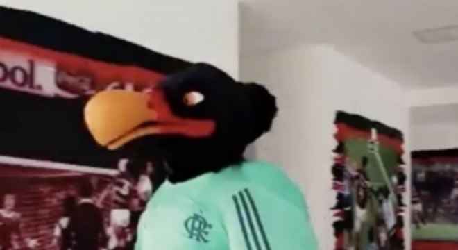 VÍDEO: Flamengo apresenta novo mascote e lança campanha para torcida ...