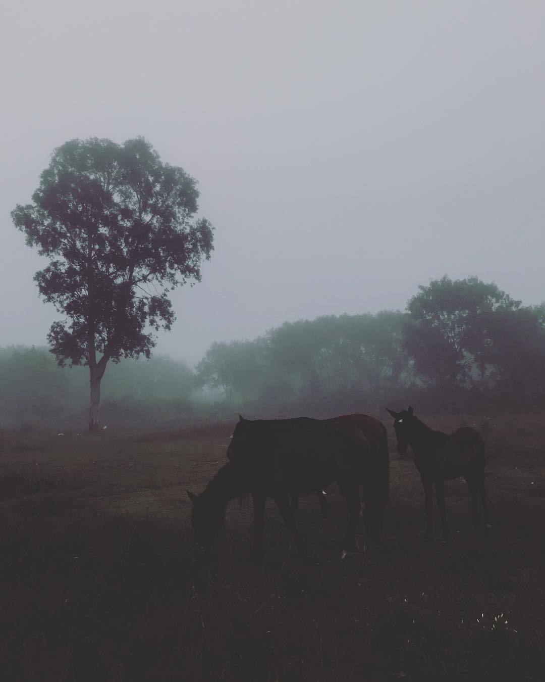 Vinícius Redd surpreende fãs com foto em cenário paradisíaco ...